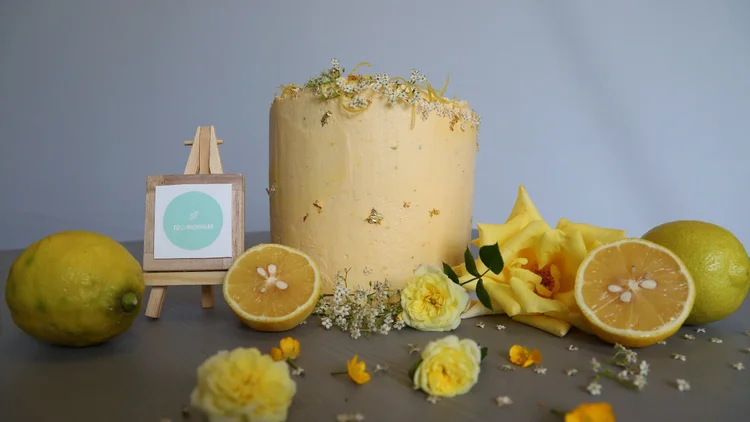 Too Much Sugar Cake Shop