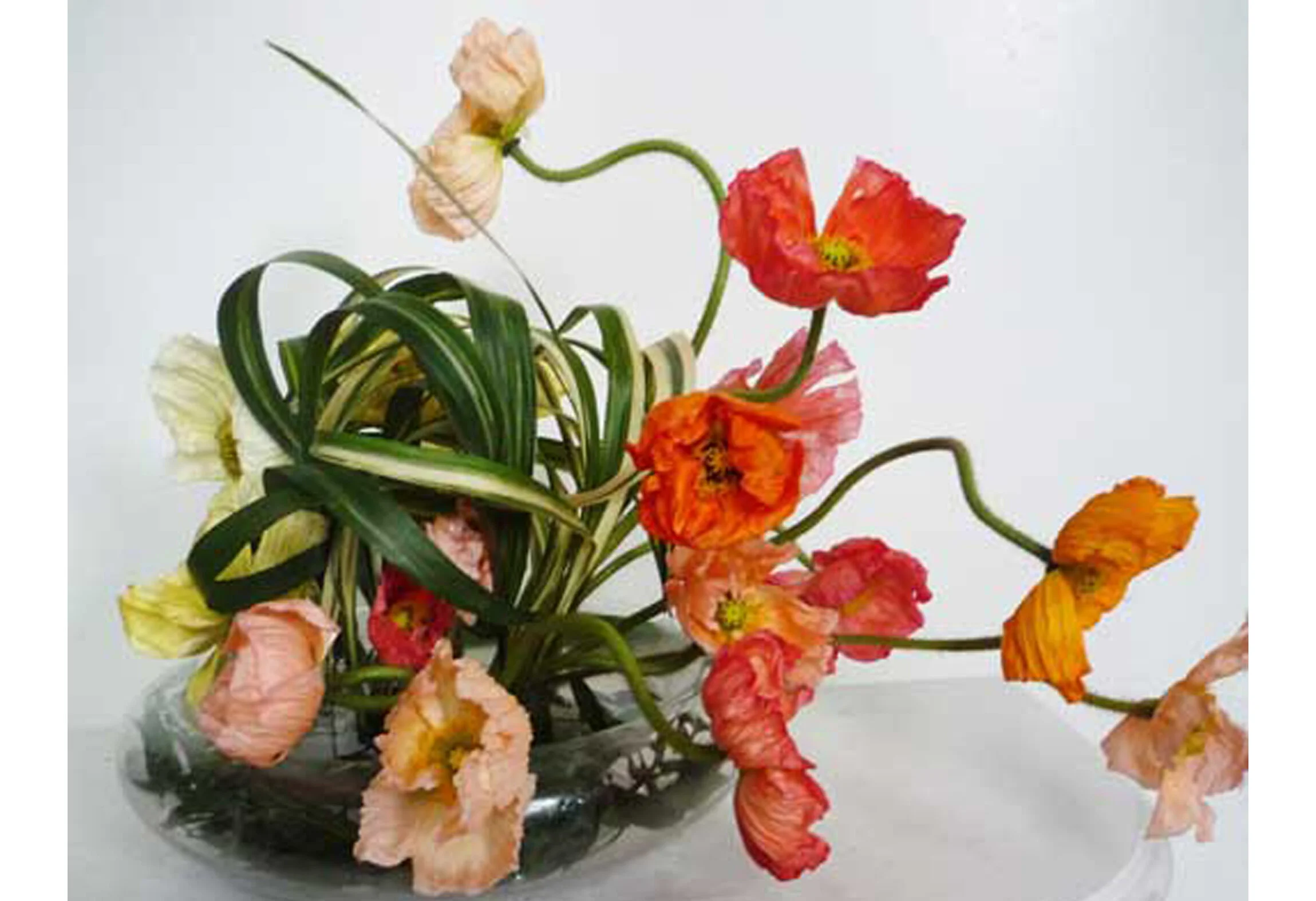 Ikebana Flowers New York