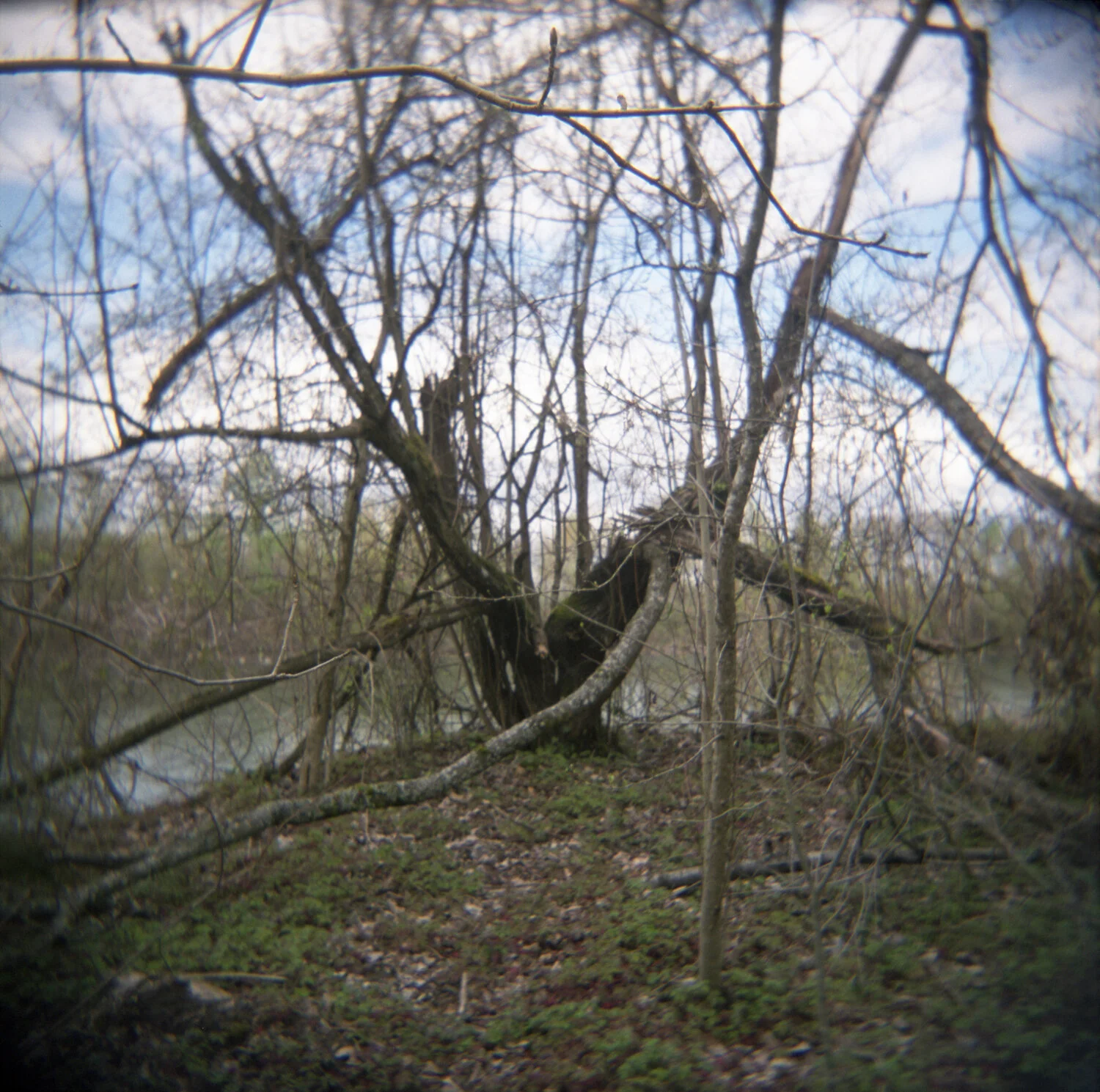 Path - 2011 — Cole Montgomery | Arts Educator & Photographer