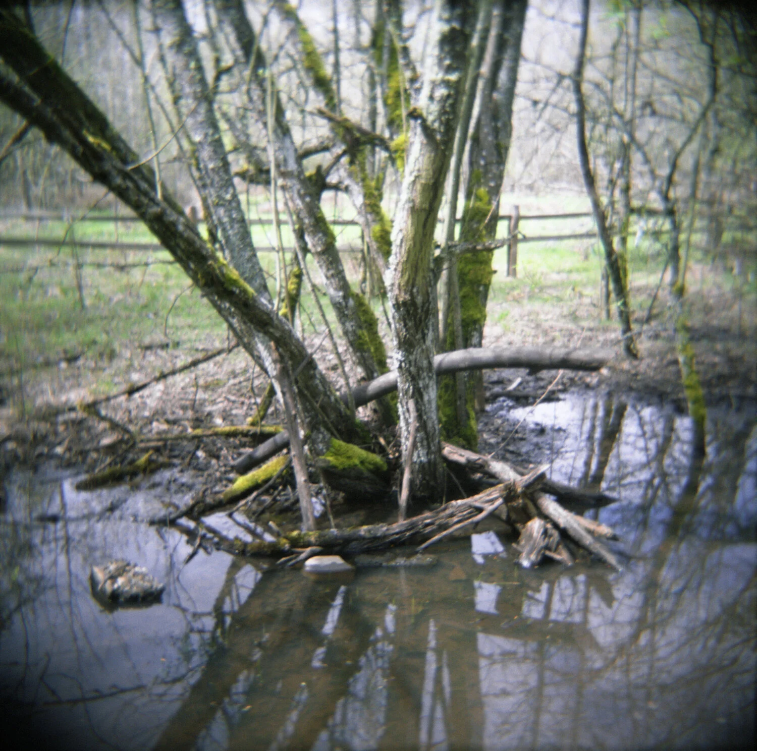 Path - 2011 — Cole Montgomery | Arts Educator & Photographer