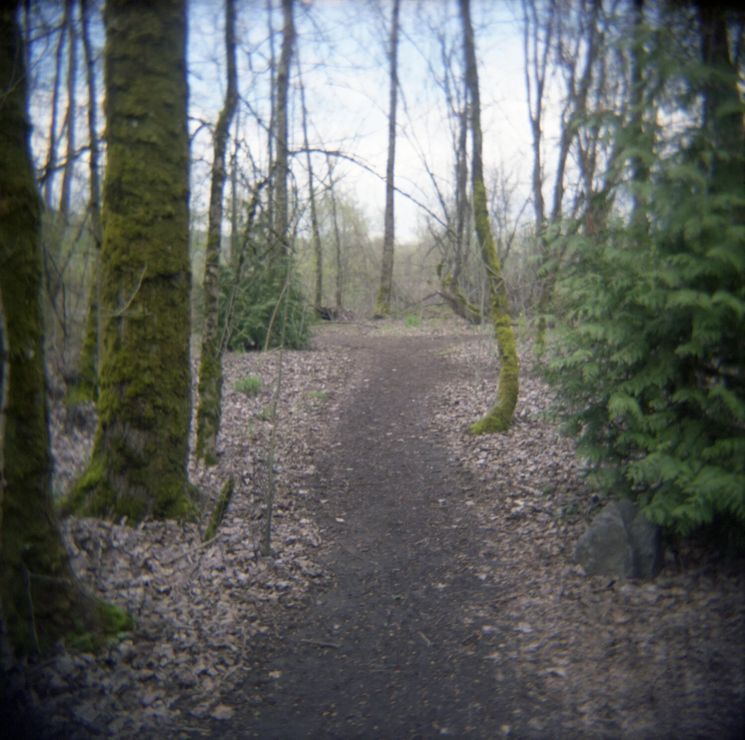 Cole Montgomery | Arts Educator & Photographer