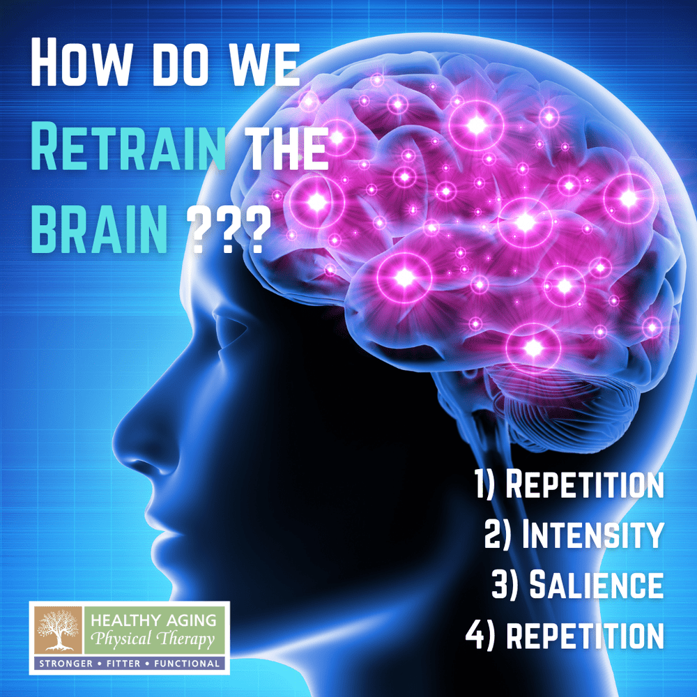 How do we RETRAIN the BRAIN? — At Home Physical Therapy for Seniors
