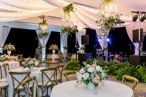 Gallery — The Shade Tree