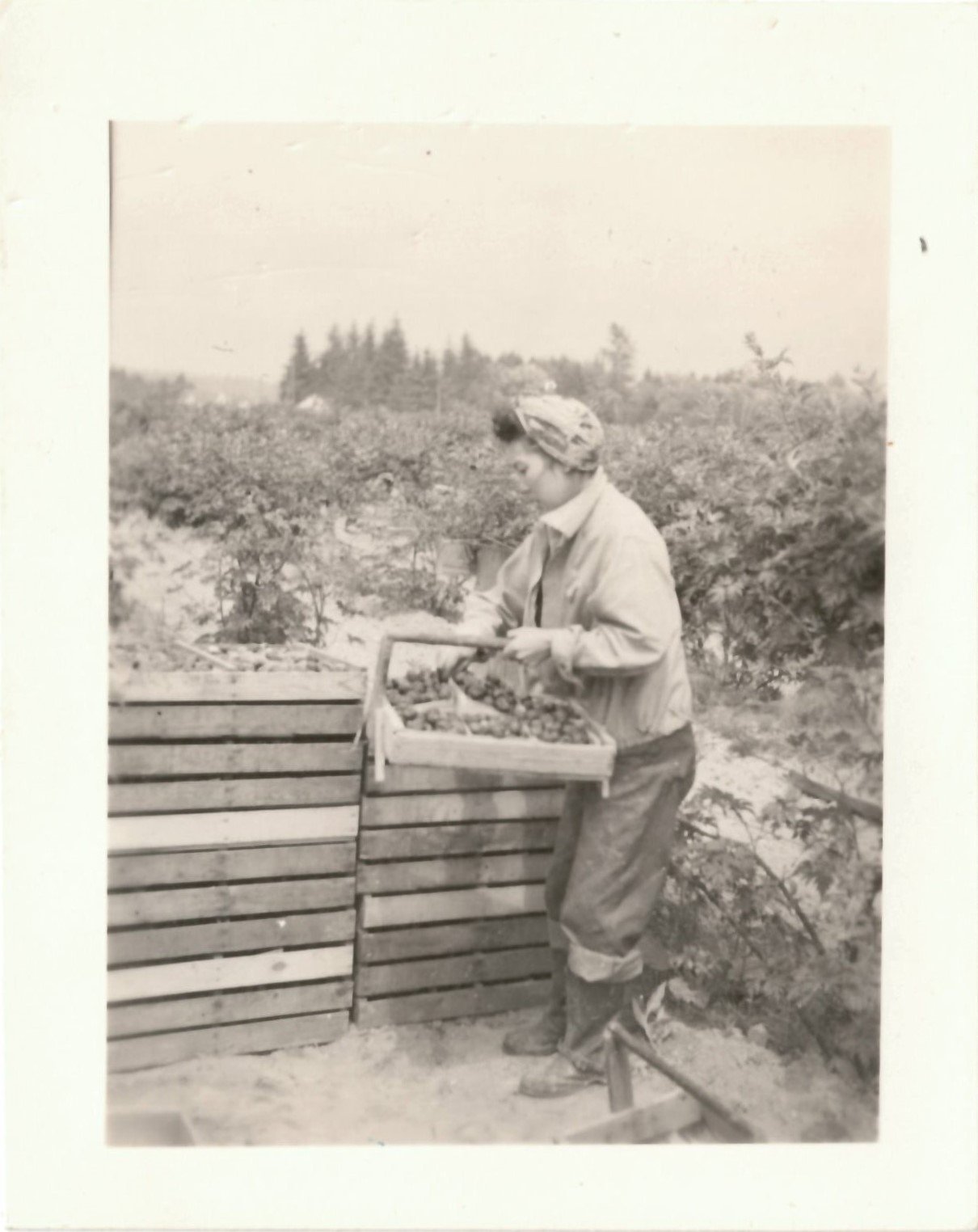 Sakuma Brothers: Making room for new generations — Skagitonians to ...