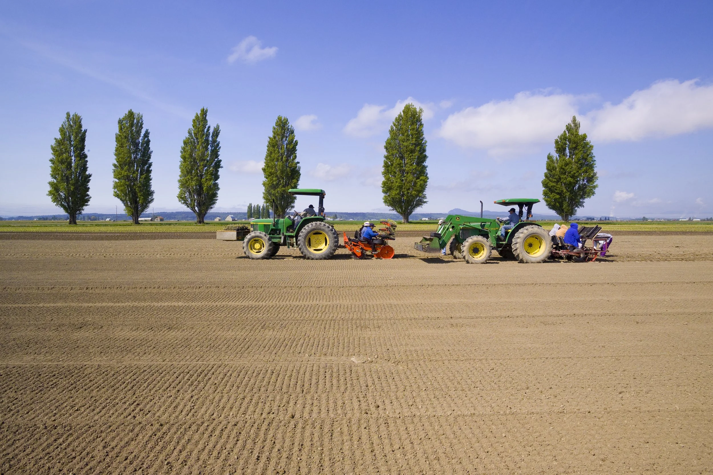 Building an Agricultural Community through Crop Rotation and Land ...