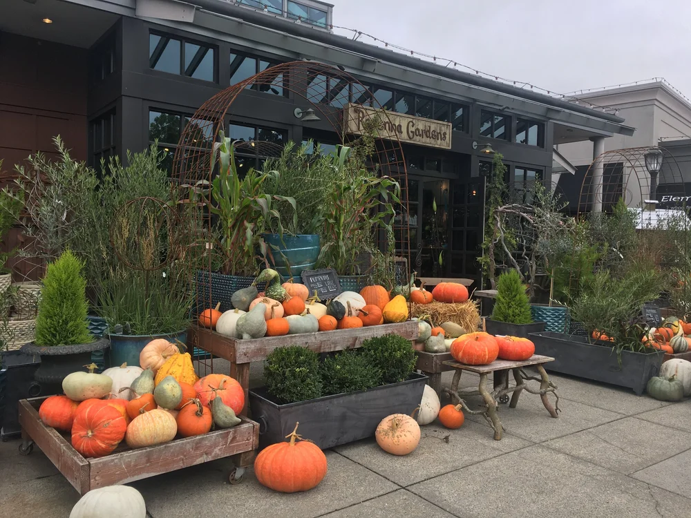 The Perfectly Imperfect, Growing Memories on Gordon Farms ...