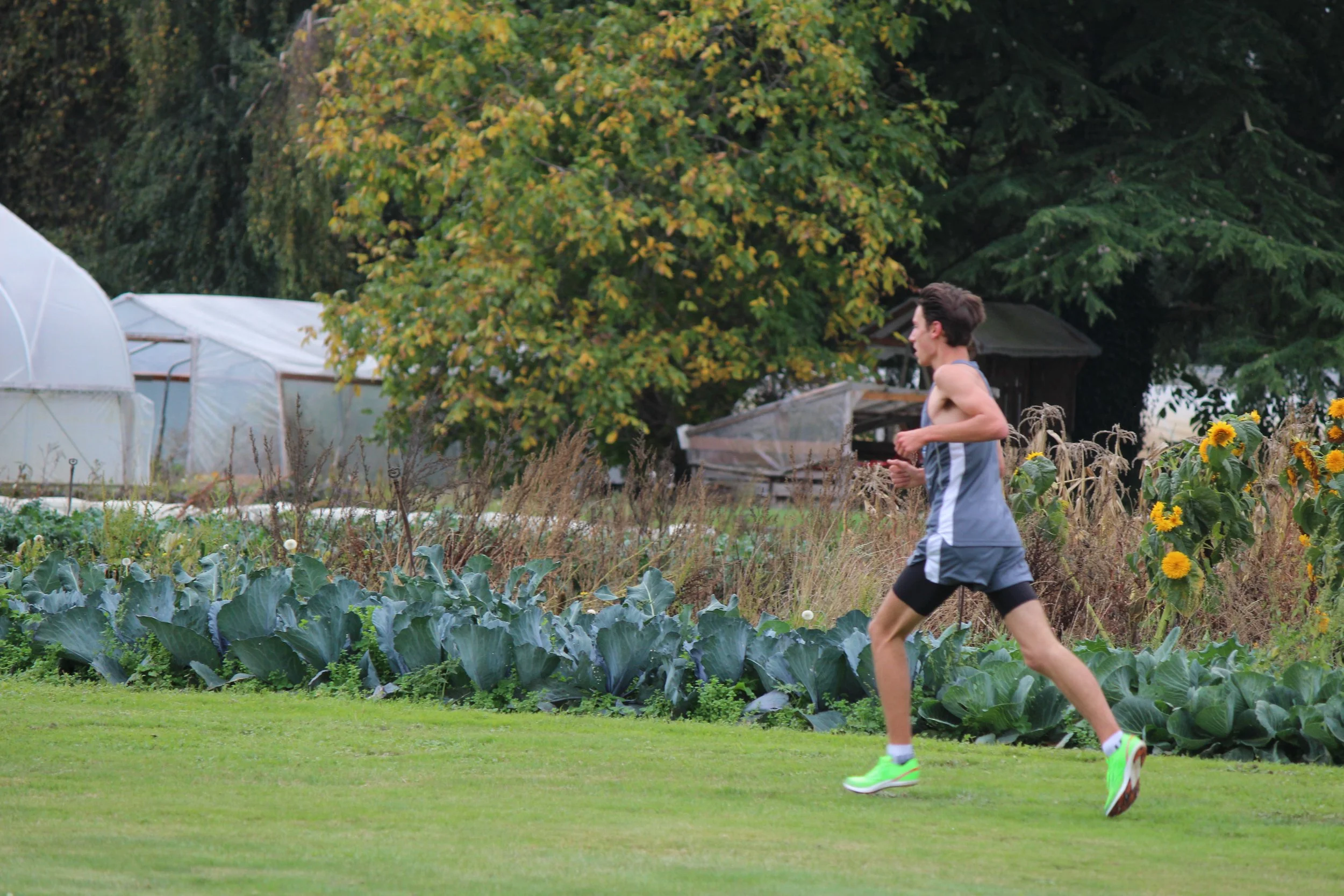 Waxwing Farm: Farmstand as CSA — Skagitonians to Preserve Farmland