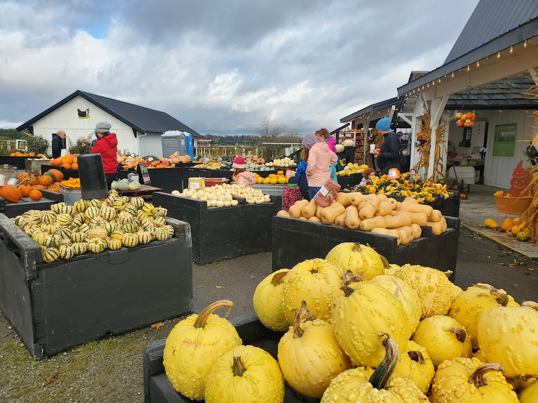 Schuh Farms: From roadside stand to landmark — Skagitonians to Preserve ...