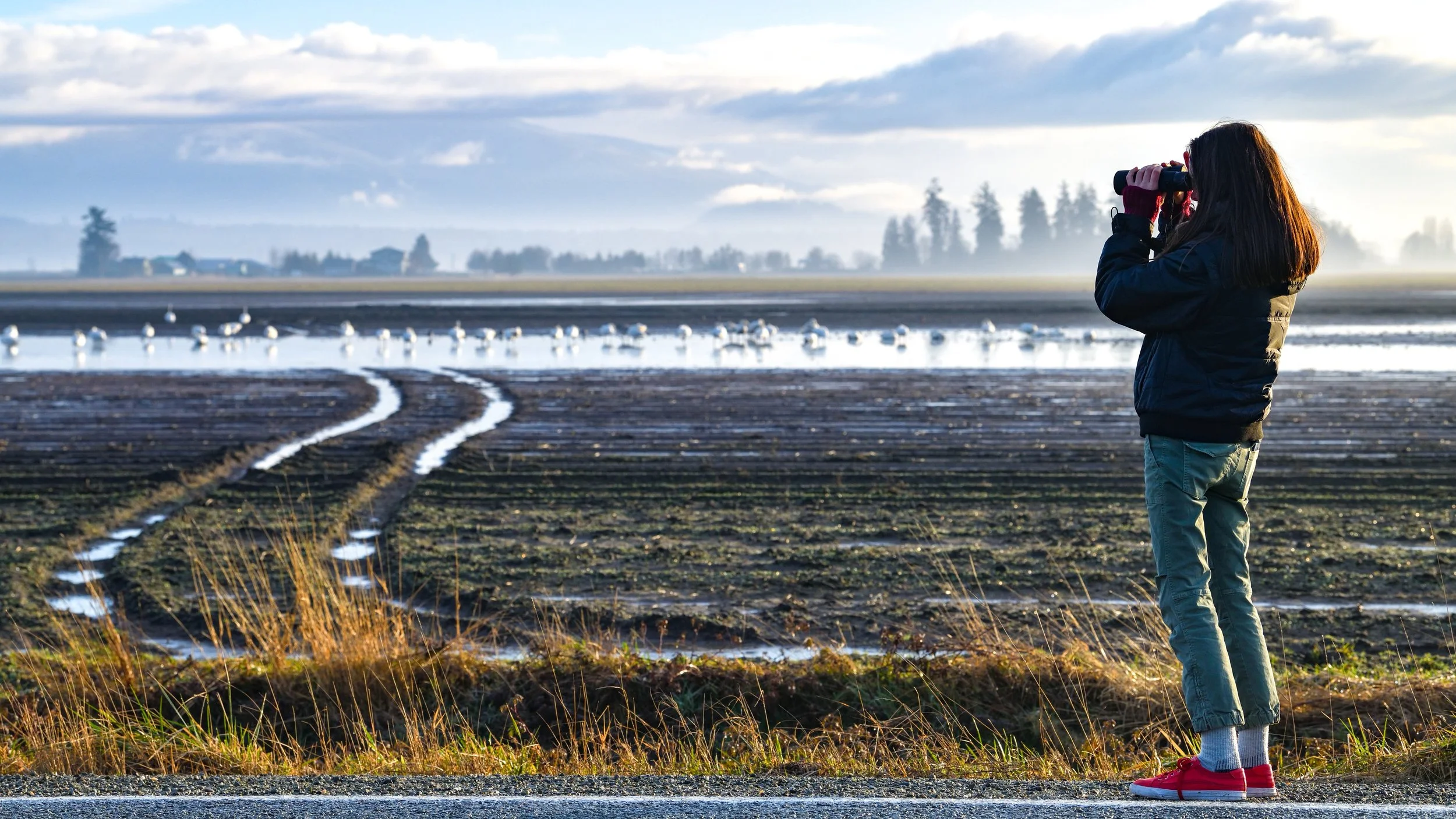 "Accidental Birders" learn how to Be Bird Wise — Skagitonians to ...