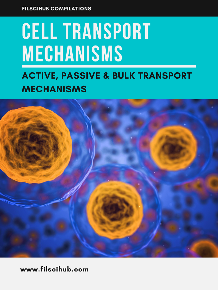 [BIOLOGY MODULE] Cell Transport Mechanisms: Active, Passive and Bulk ...