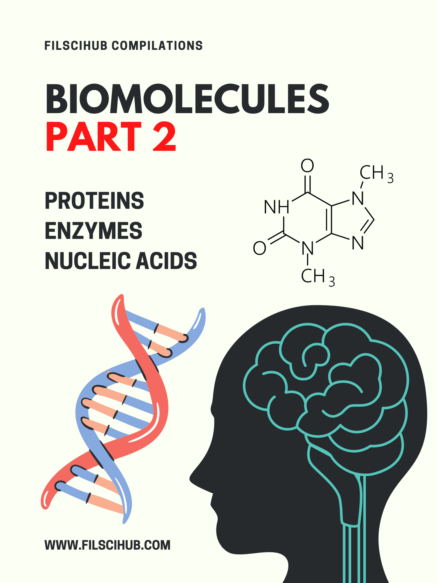 [BIOLOGY MODULE] Biomolecules Part 2: Proteins, Enzymes & Nucleic Acids ...
