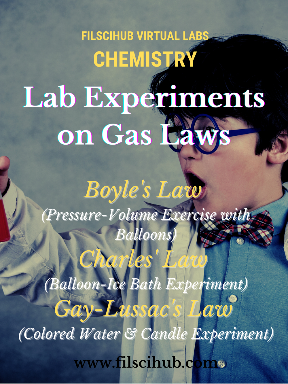 [CHEMISTRY LABS] Experiments for Studying Gas Laws: Boyle's, Charles ...