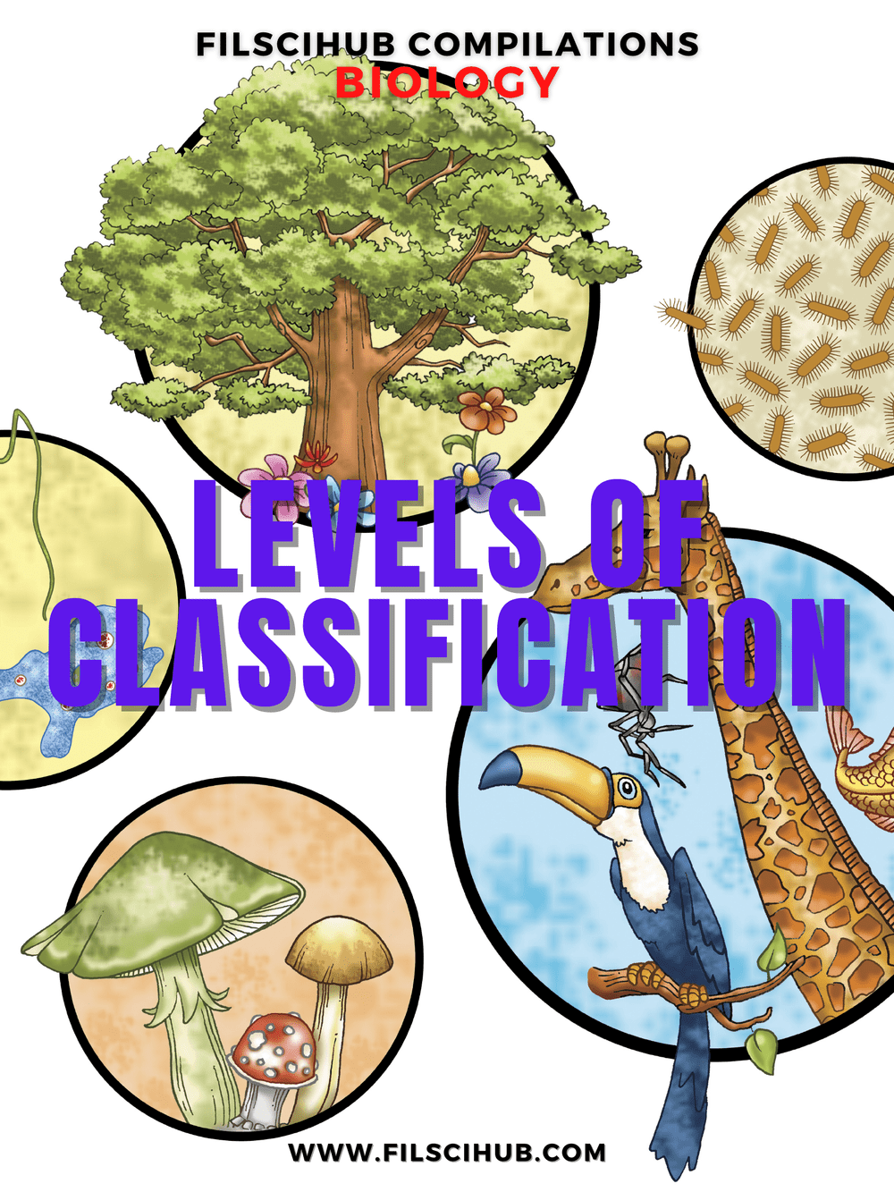 [BIOLOGY MODULE] Taxonomy: Levels of Organization — Filipino Science Hub