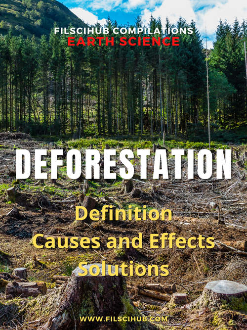 [EARTH SCIENCE] Deforestation: Causes, Effects & Solutions — Filipino ...