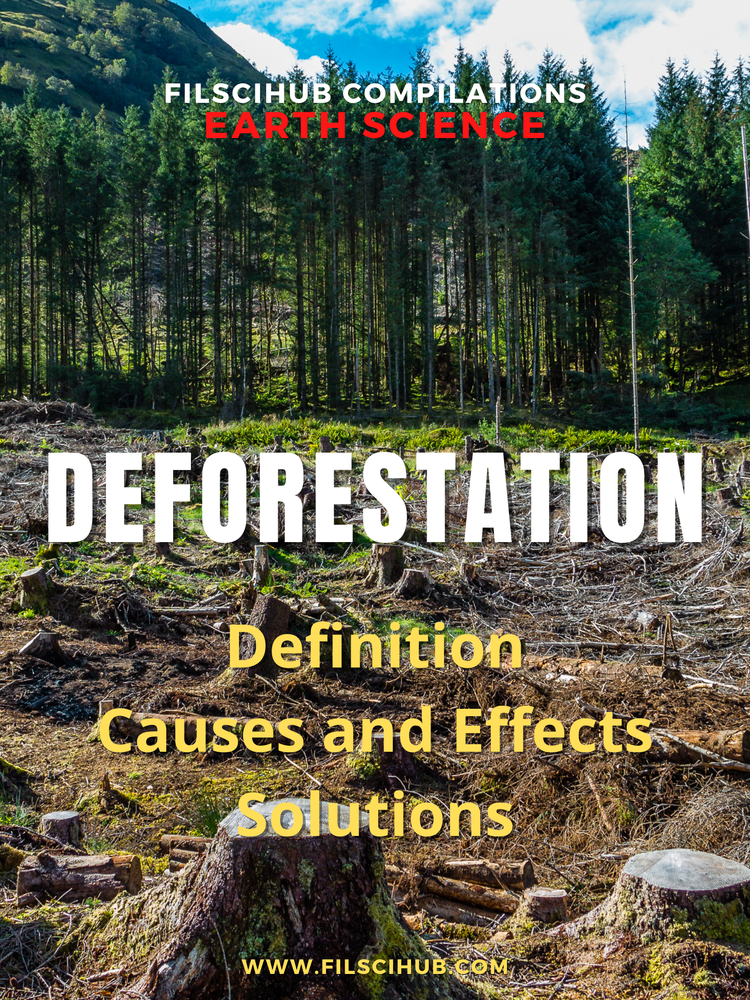 [EARTH SCIENCE] Deforestation: Causes, Effects & Solutions — Filipino ...