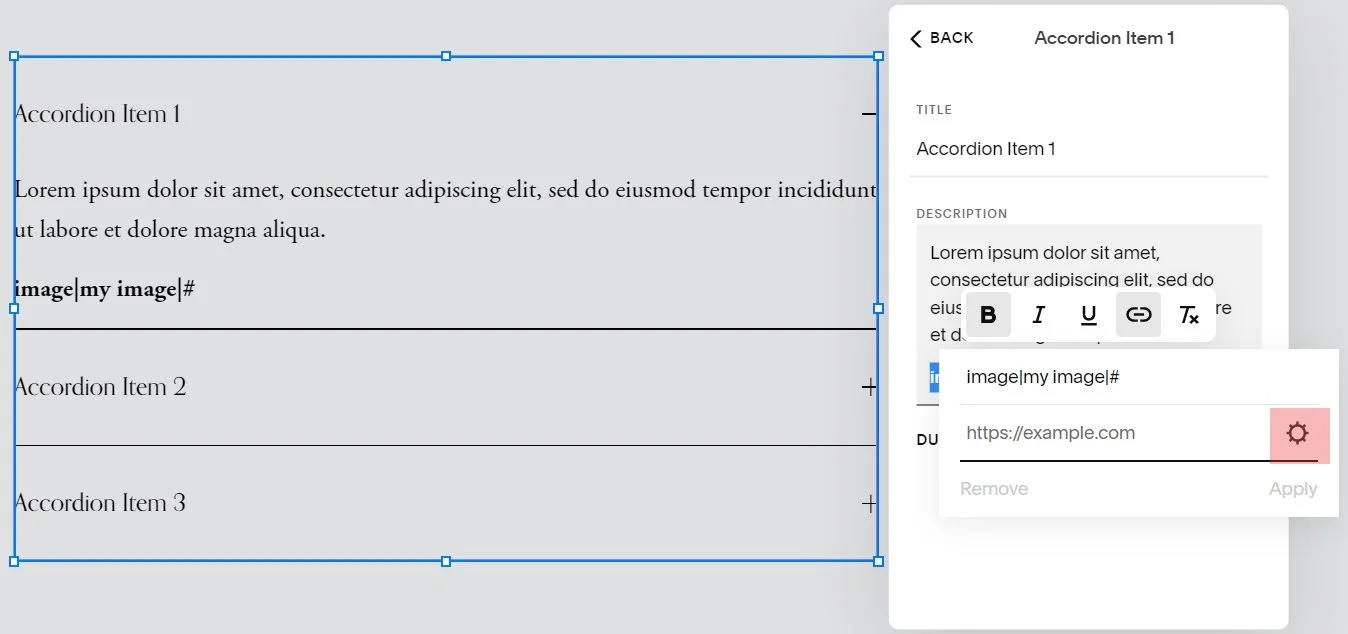 How to add images and videos to Squarespace accordion — Primitus Consultancy