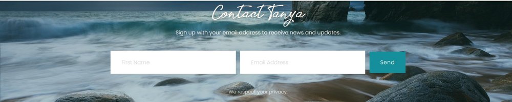 How to hide newsletter block last name field on Squarespace 7.1 — Primitus Consultancy