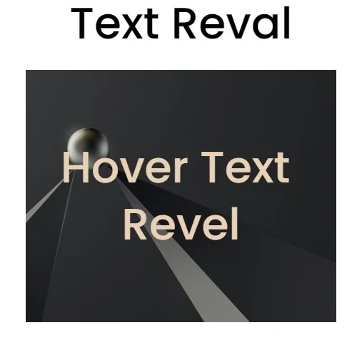 How to reveal text on hover in Squarespace Fluid Engine — Primitus Consultancy