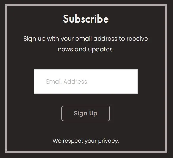 How to resize the Newsletter block — Primitus Consultancy