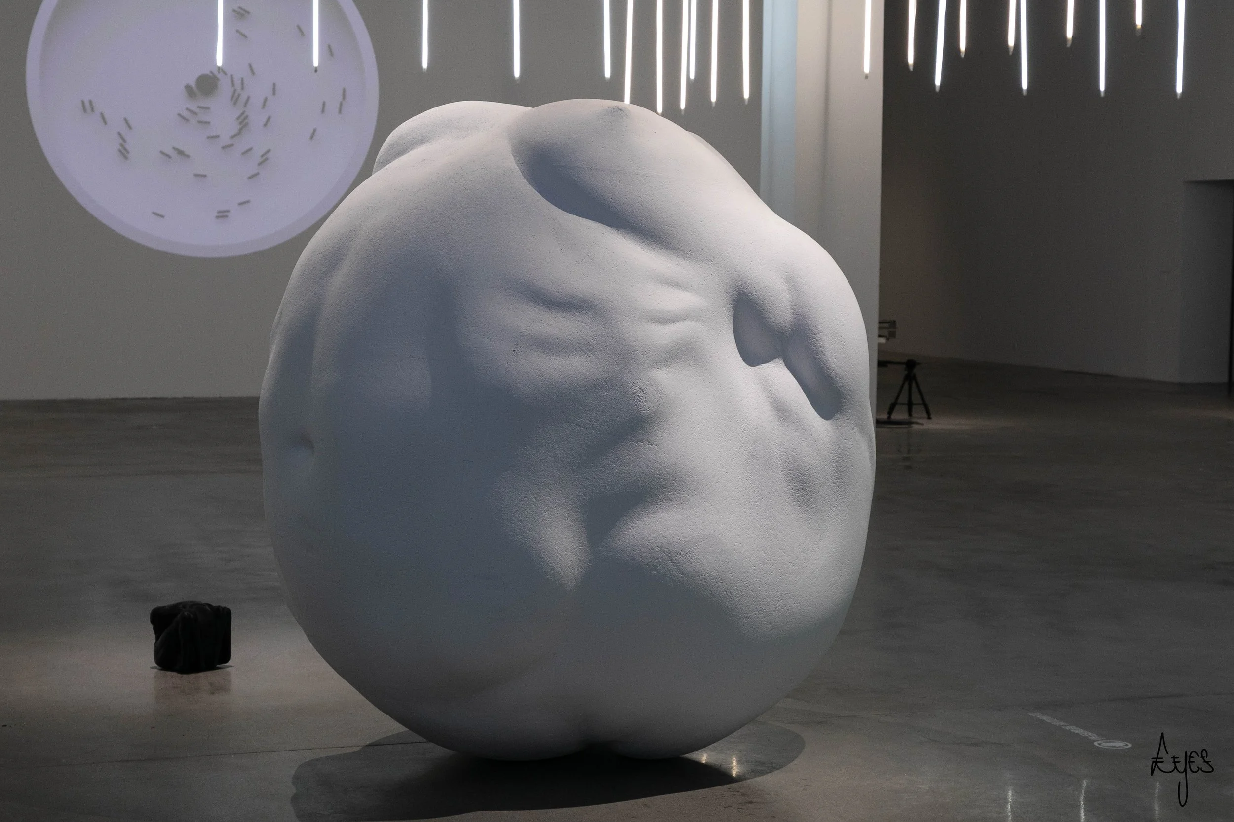 Sphemen & Cumen — Lyes Hammadouche. 列思