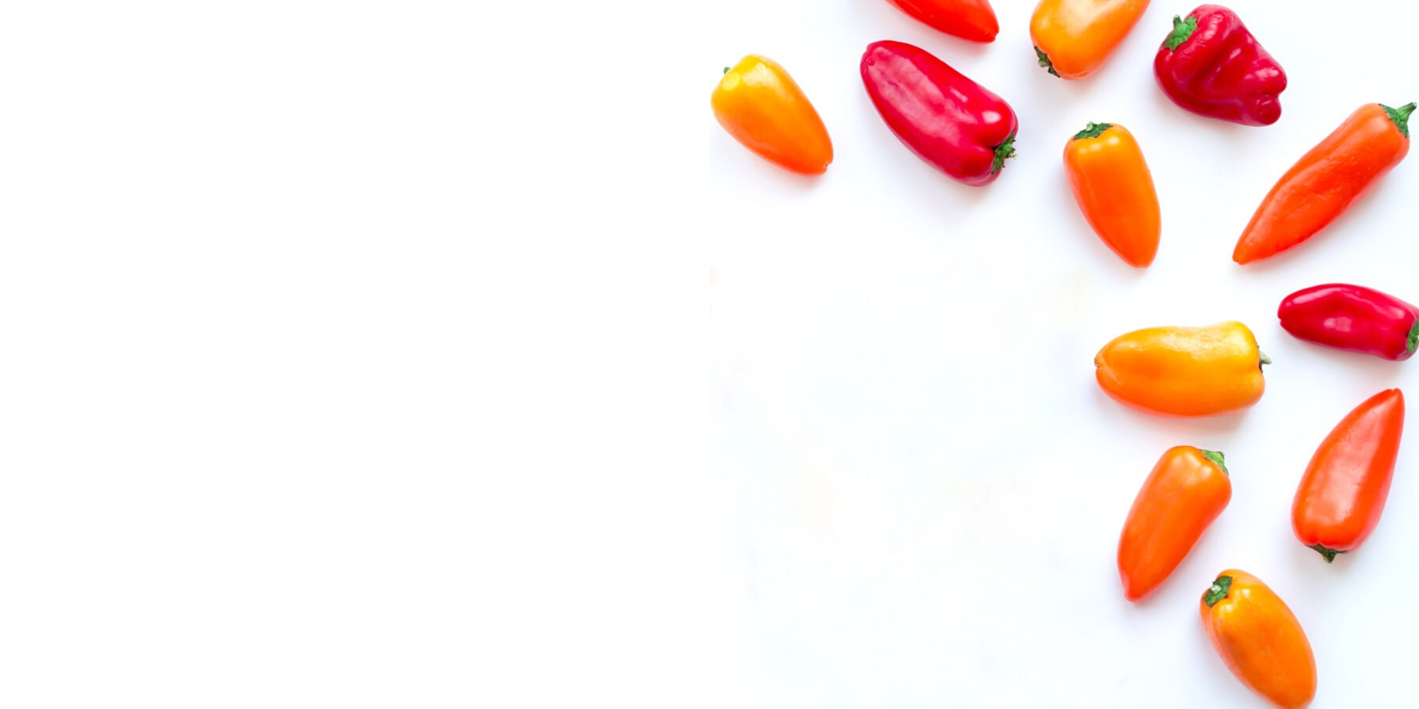 About Sunita — Sunita Mohan