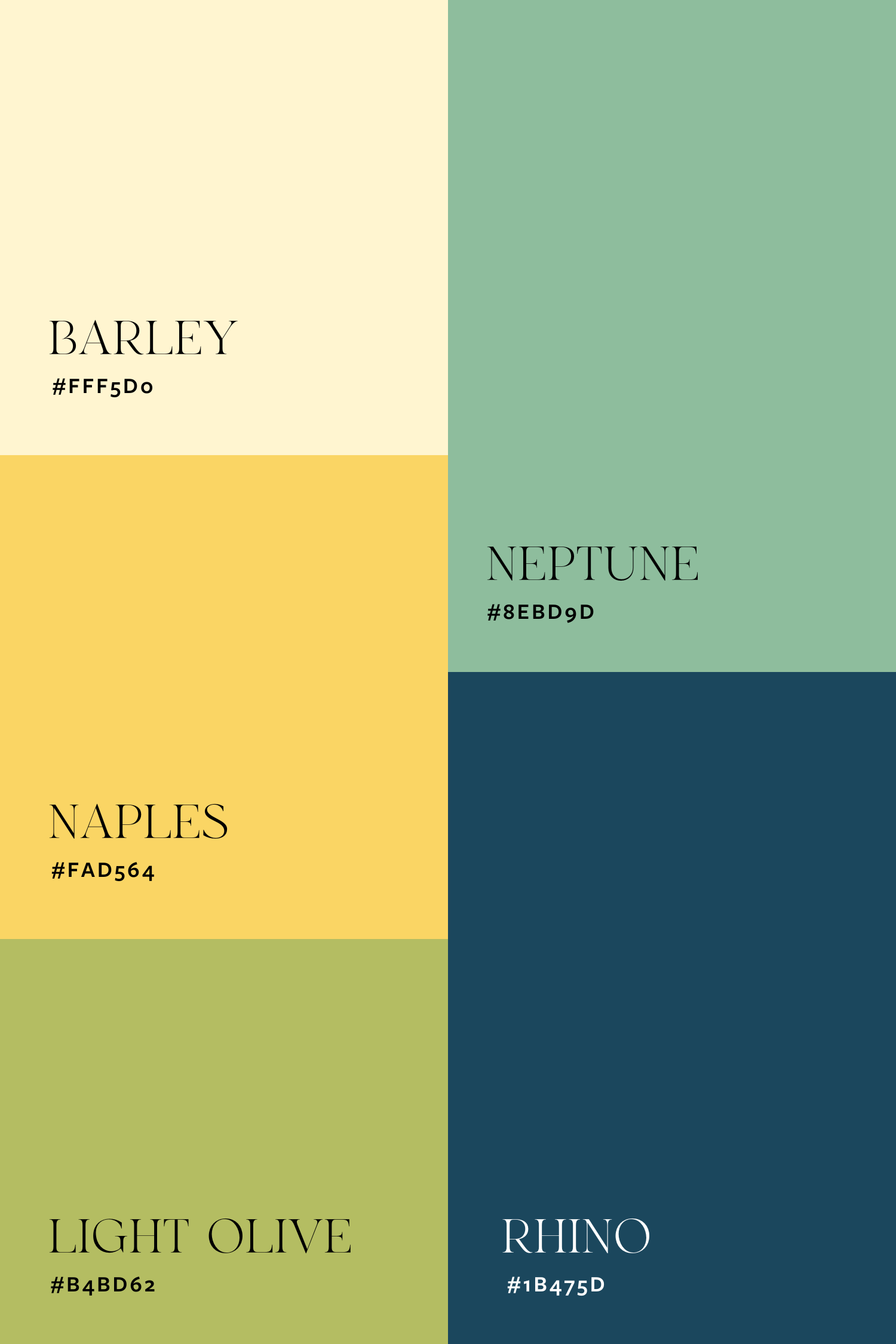 10 Bold Color Palettes for Branding Startups in 2025