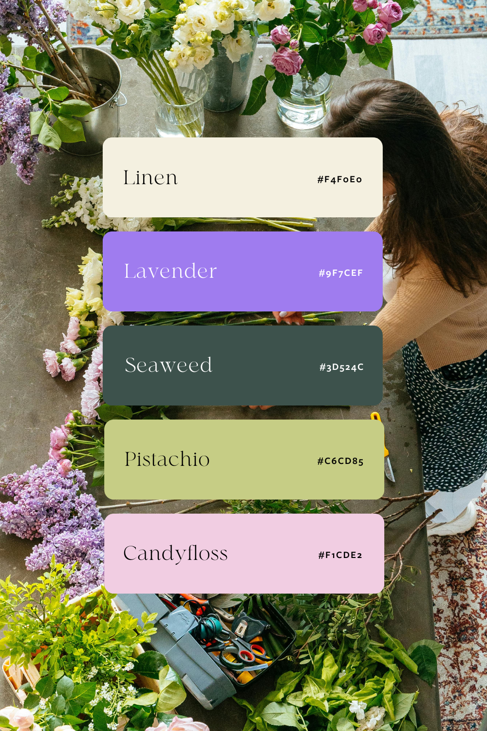 Feminine Brand Color Palettes for Women-Led Businesses