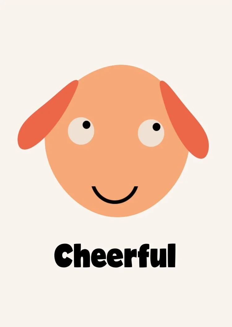 The Big 3 & Me - Classroom Kit — The Big Think