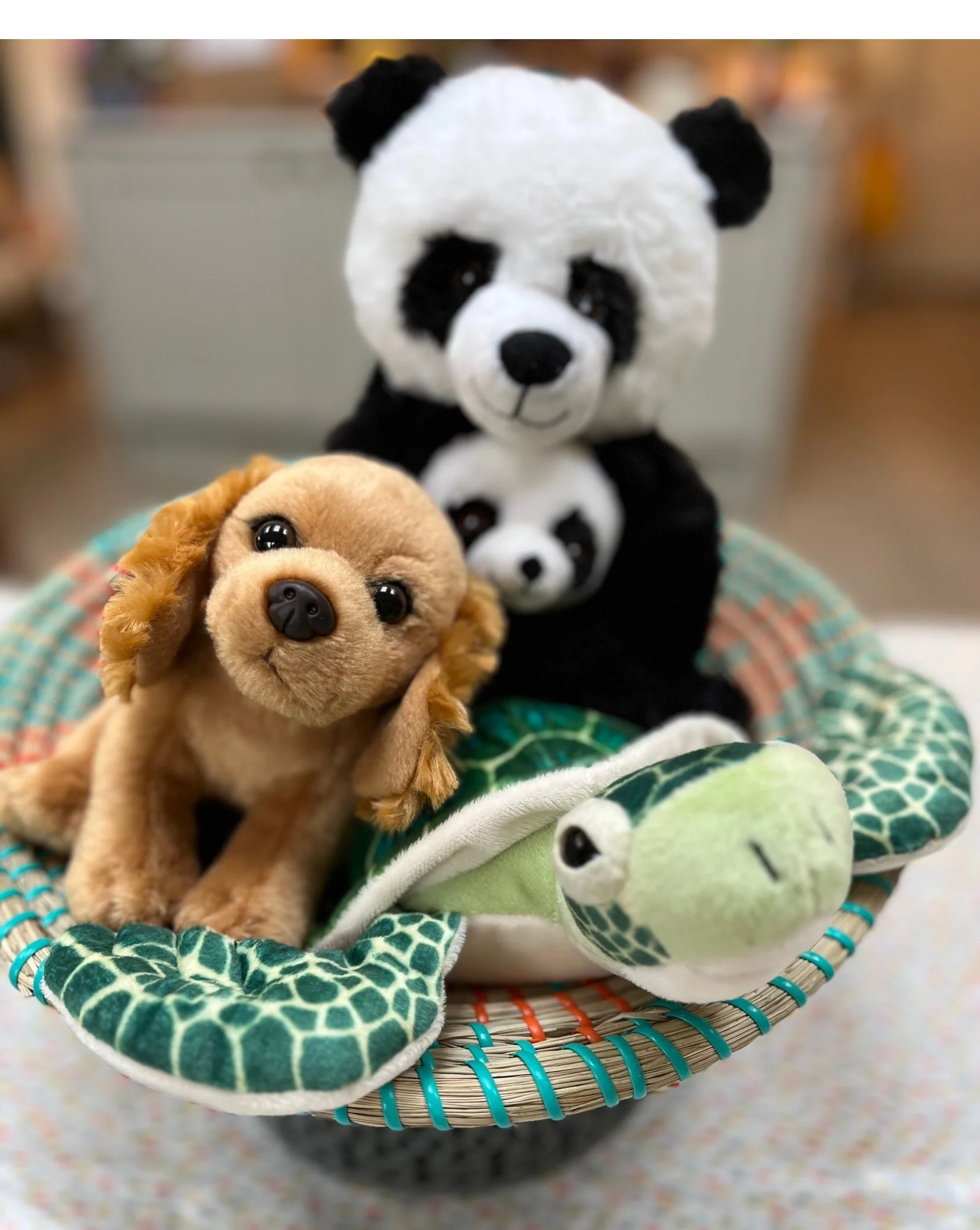 The BIG 3 + ME — The Big Think