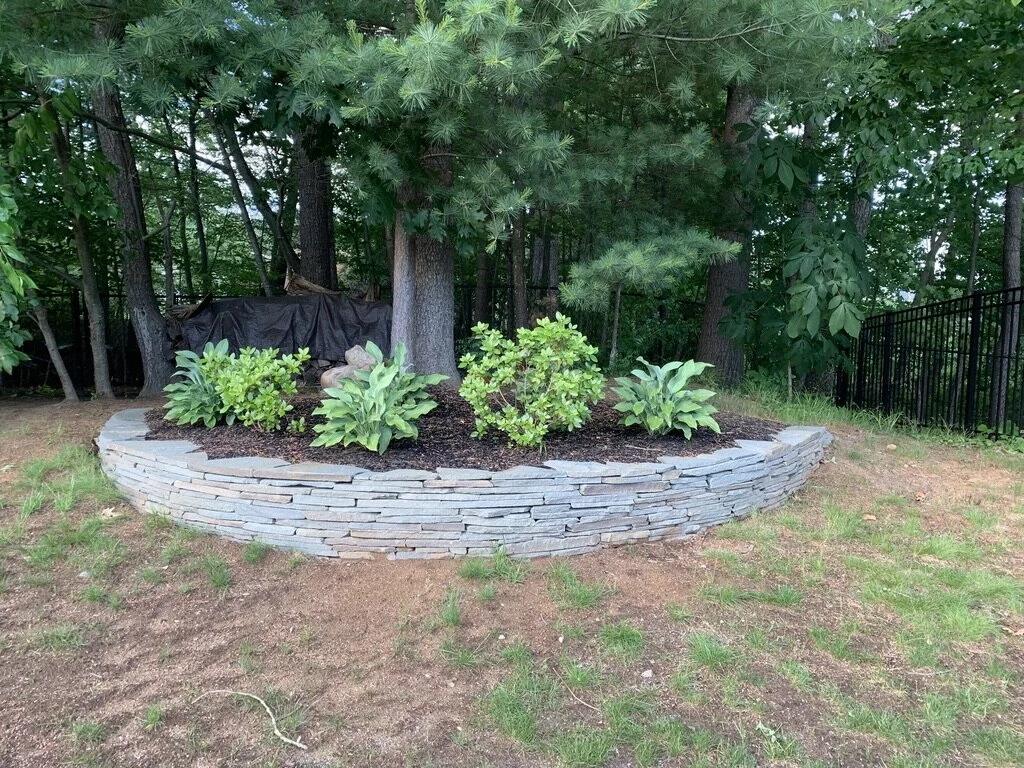 Tree Planting Services | JCF Landscaping and Patios Corporation