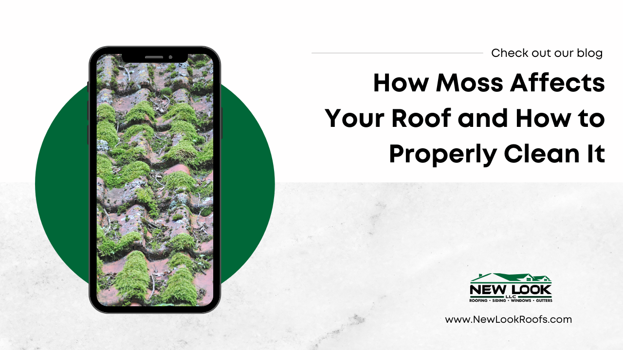How Moss Affects Your Roof and How to Properly Clean It • New Look Roof ...