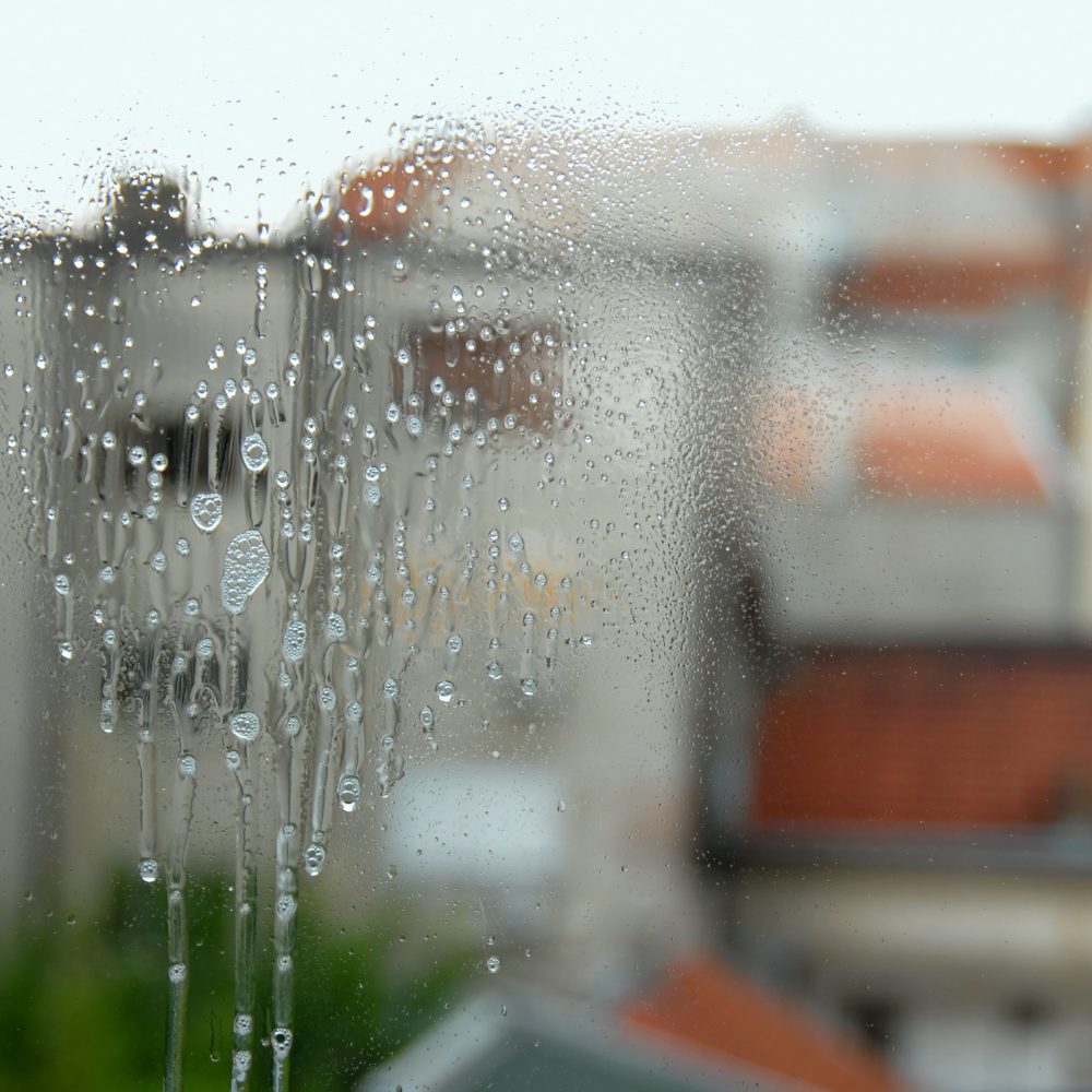 4 signs that it is time to replace your home's windows • New Look Blog ...