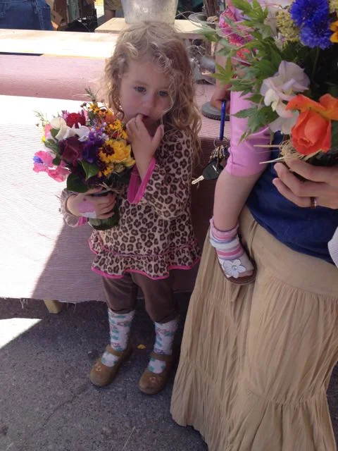 Gallery — POINT REYES FLOWERS