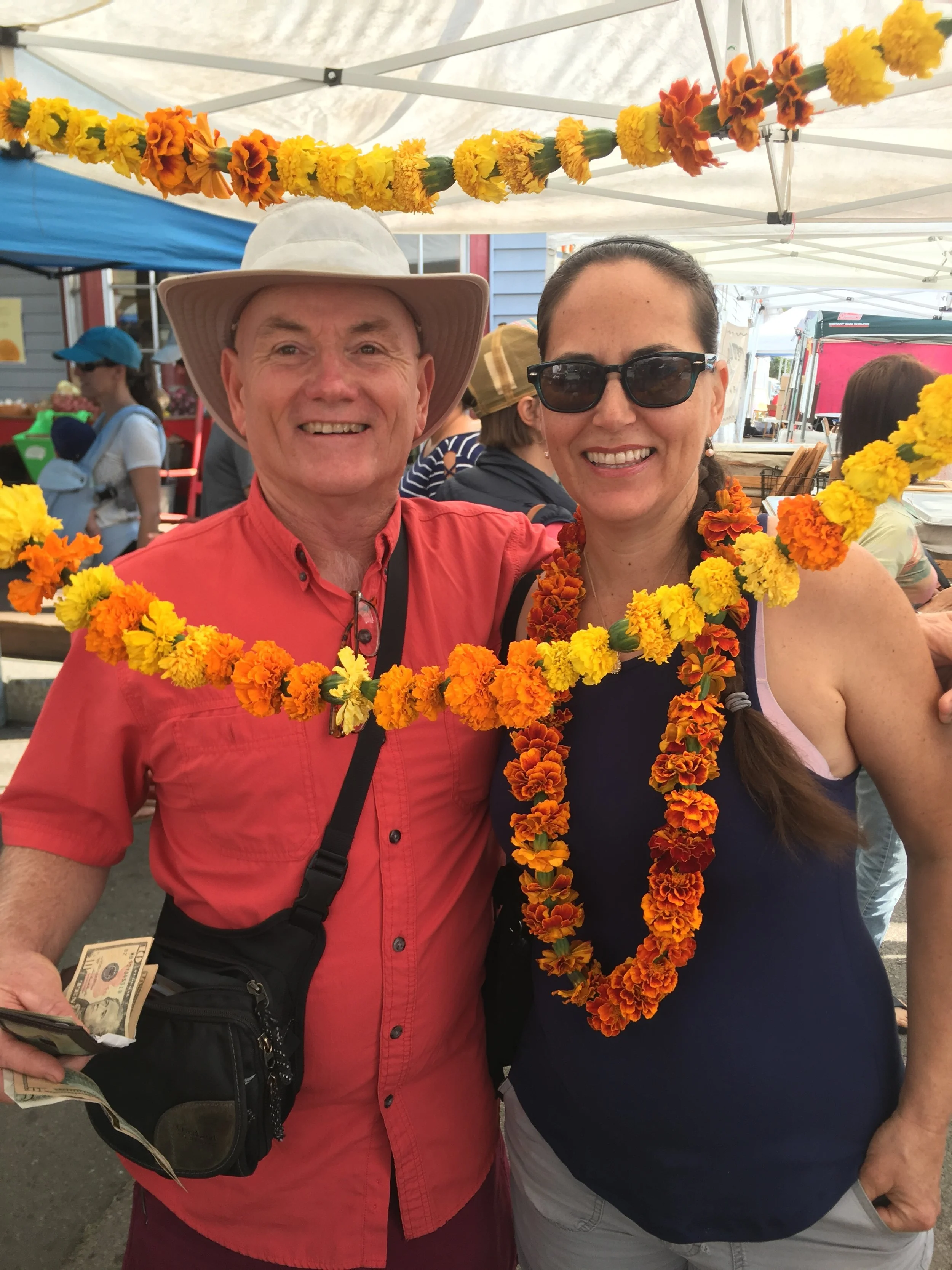 Gallery — POINT REYES FLOWERS