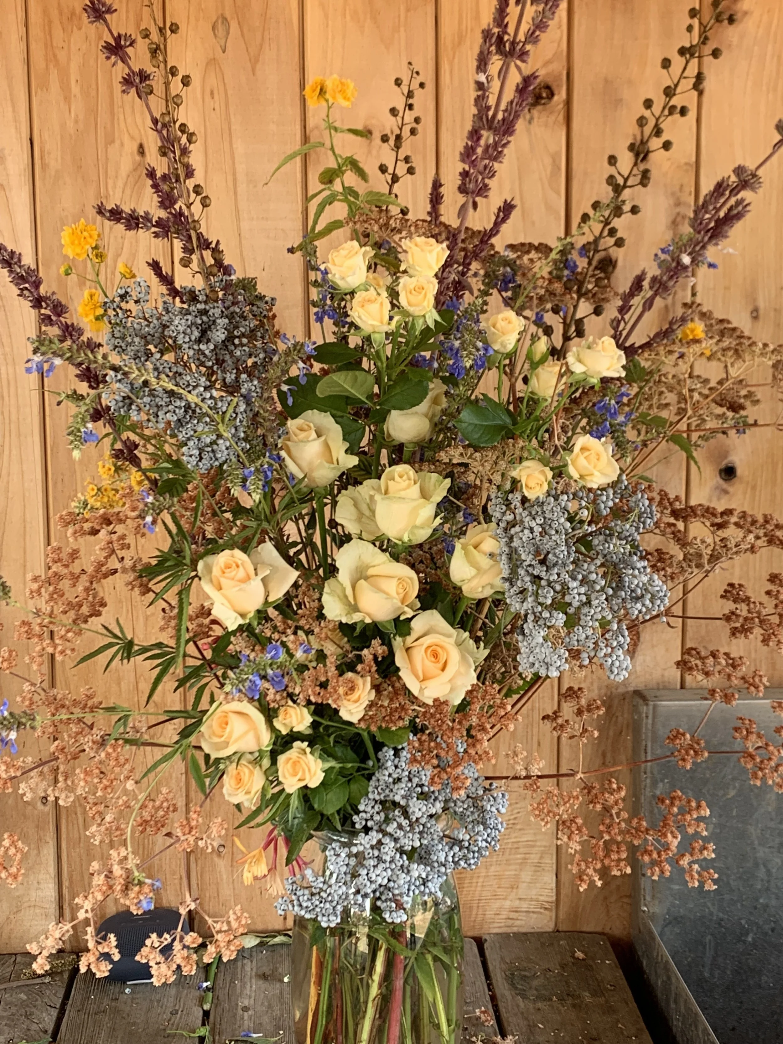 Gallery — POINT REYES FLOWERS