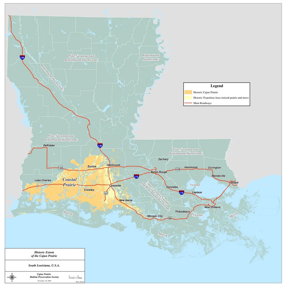 The Historic Cajun Prairie — Louisiana Native Seed