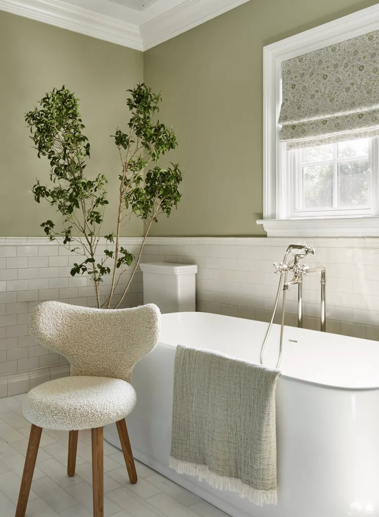 Tomac Lane — STUDIO ALPHA INTERIORS