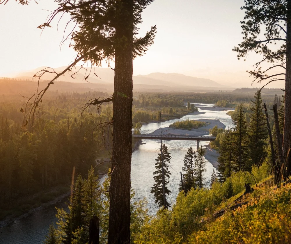 Hidden Path Counseling