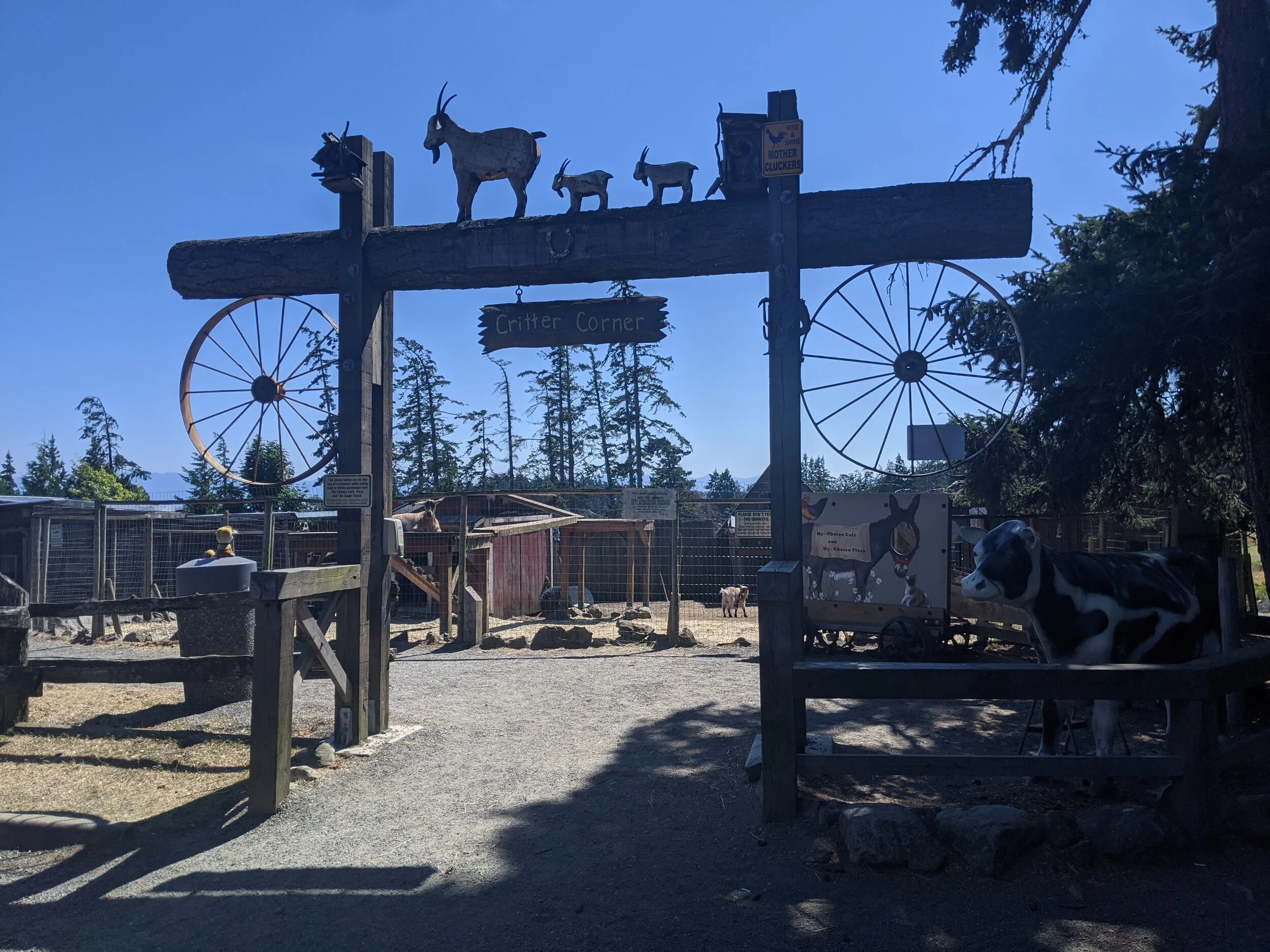 Critter Corner — My-Chosen Cafe