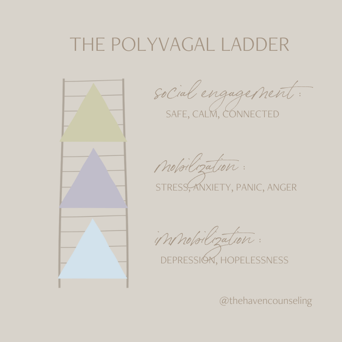 Befriending Your Nervous System — The Haven