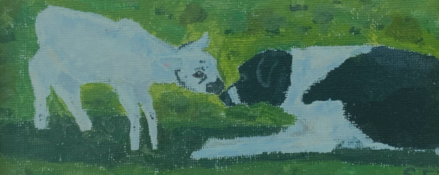 Artist-Sally — North Pole Studio