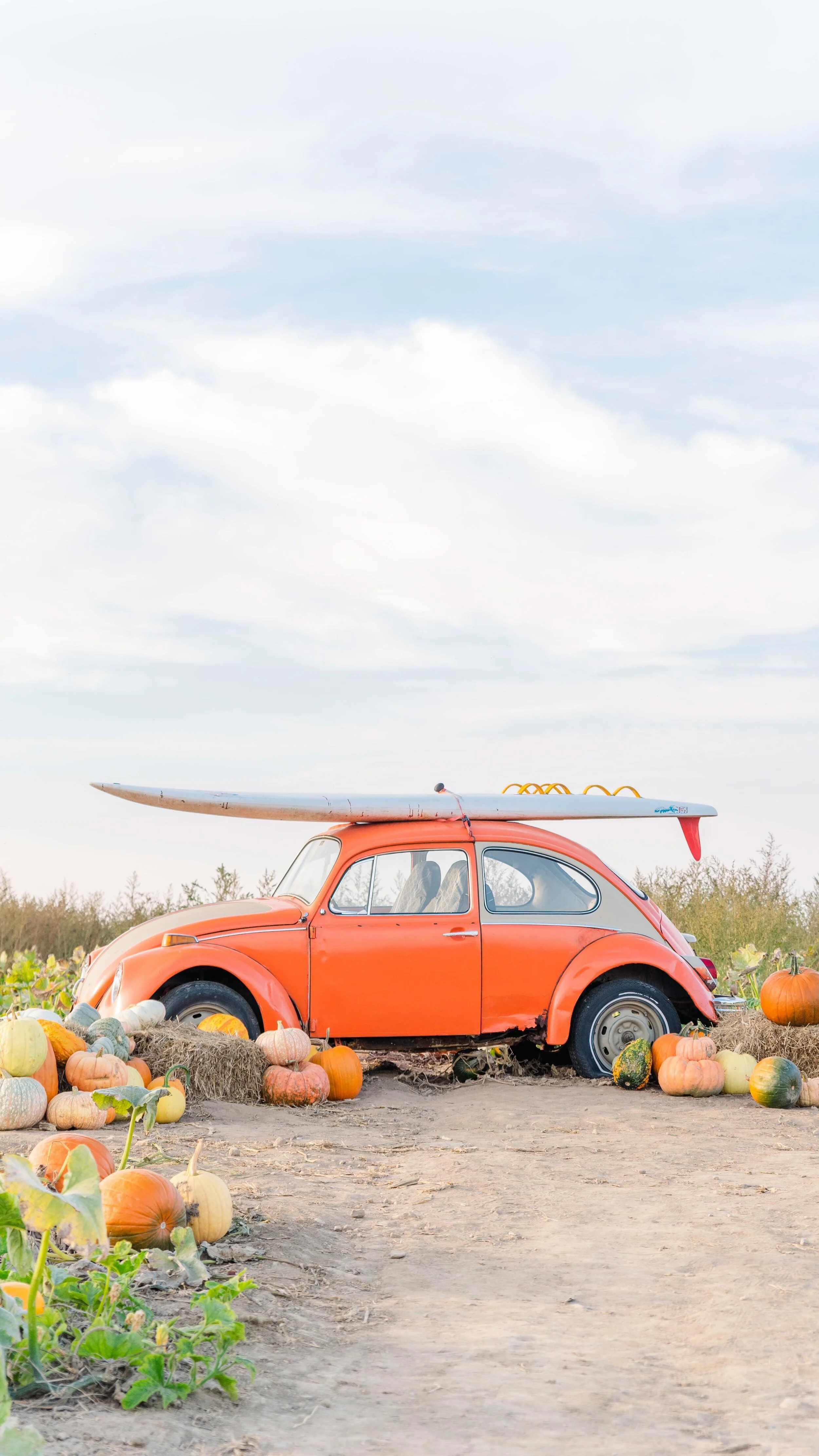 Empowerment and Family: A Day at Highland Estates with Caitlin ...