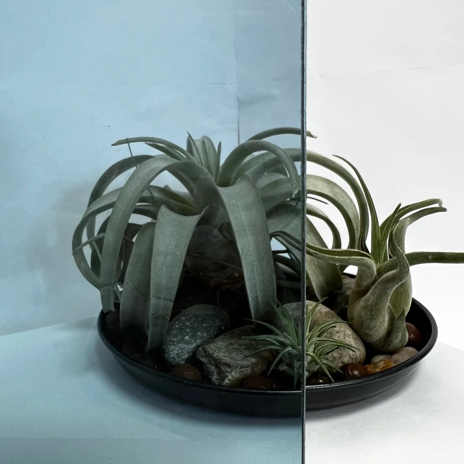 Our Glass — Sunset Glass