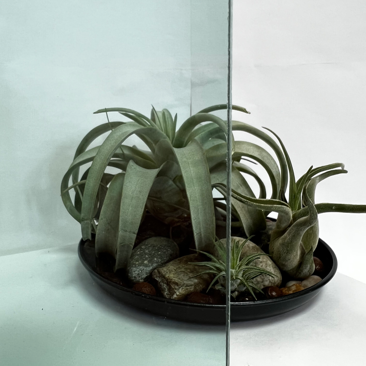 Our Glass — Sunset Glass