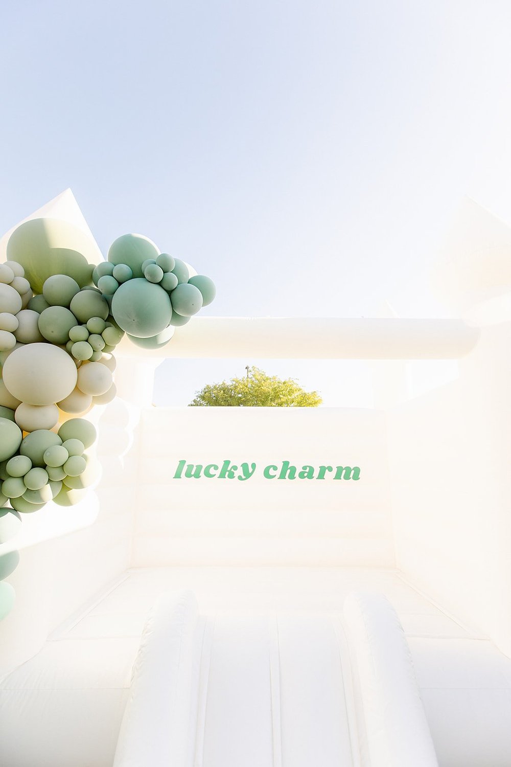 White Bounce Castle with Slide - Bounce House Slide Combo Rental ...