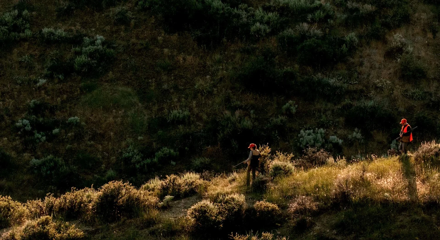 Hunt Idaho - Buy Your License or Sign Up For Hunter Education | Idaho ...