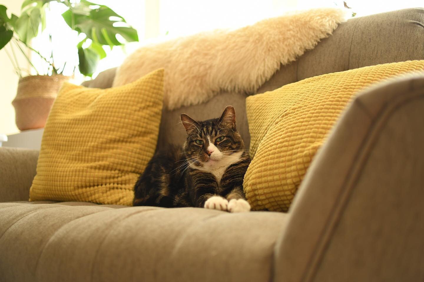 Photography — Collin Quinn Rice