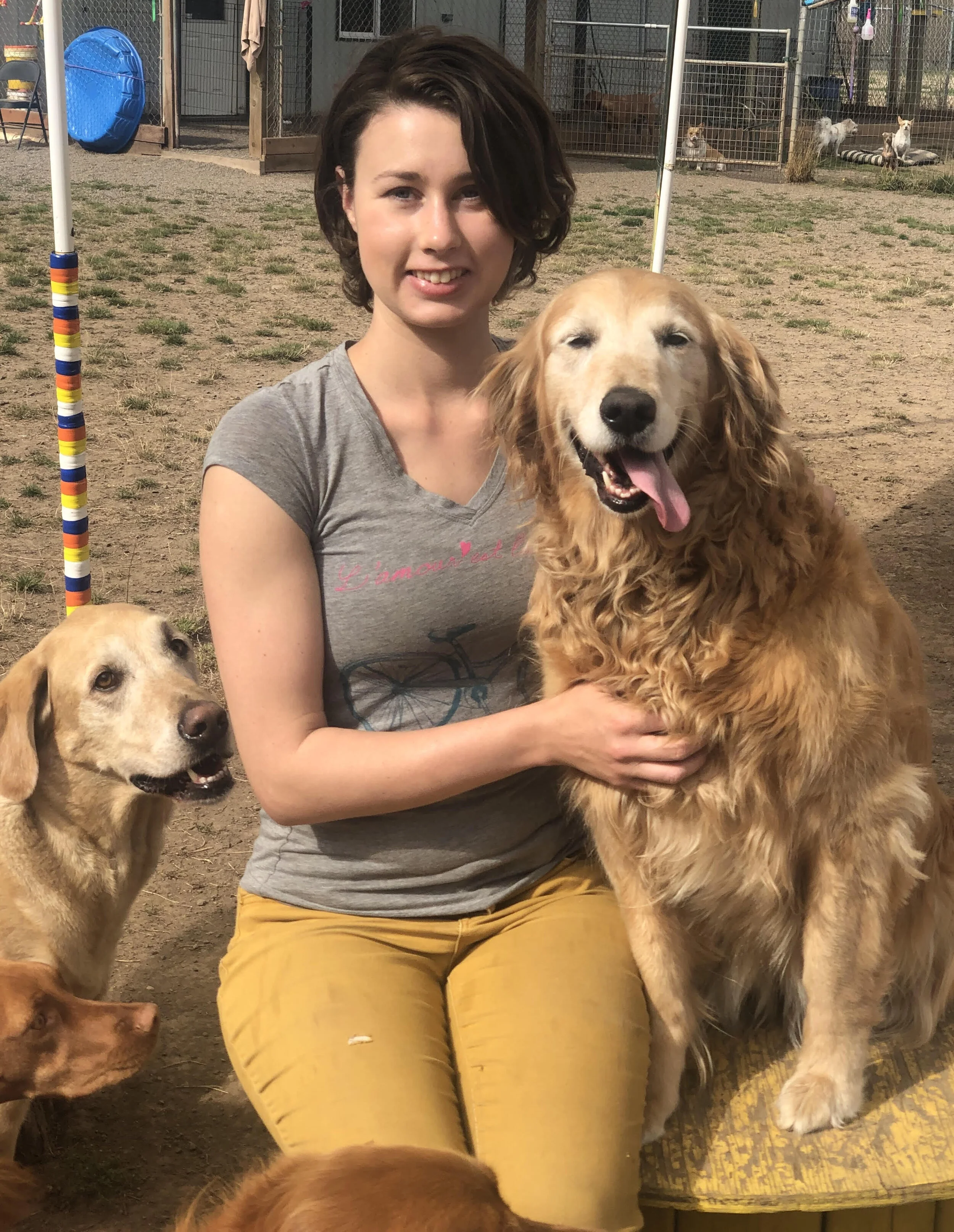 Meet Our Staff — Opportunity Barks