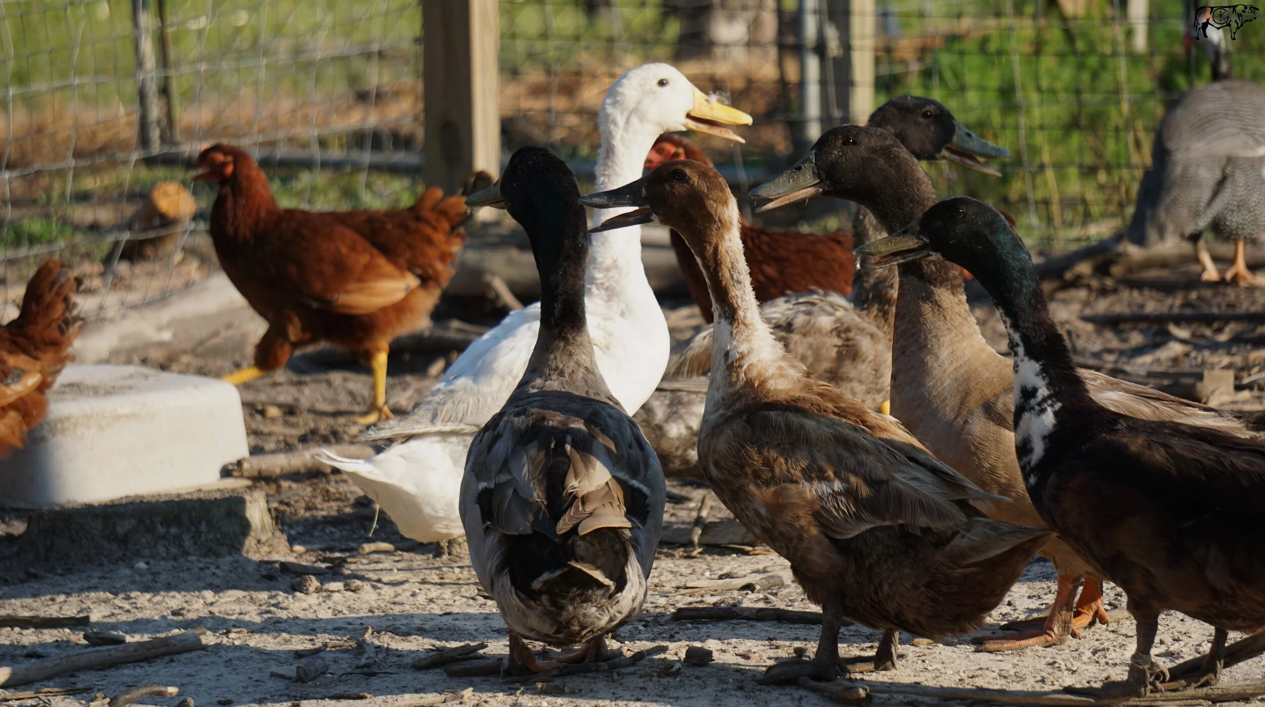 About Us — Smith's Farm and Ranch