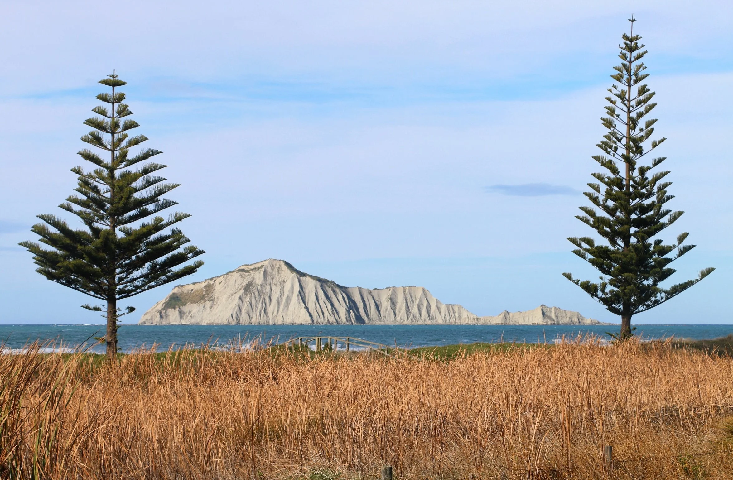 Waimarama Holiday Park - Campsite Accomodation
